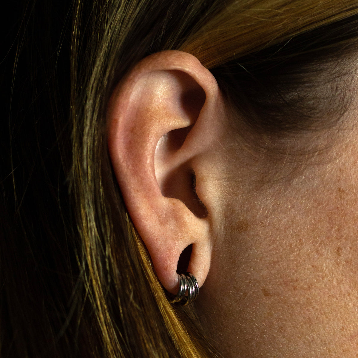 316L Stainless Steel Hinged "Clicker" Segment Ring: Hoop: 16g, 8mm, 6mm ...